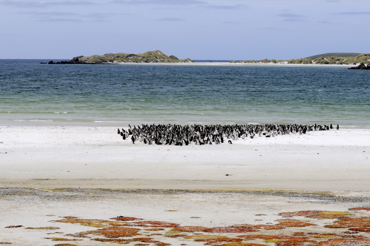 Sam Safadi – Photography